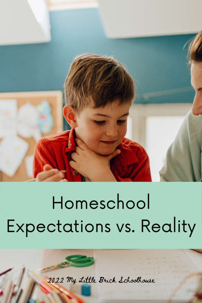 Homeschool Expectations Vs. Reality - My Little Brick Schoolhouse